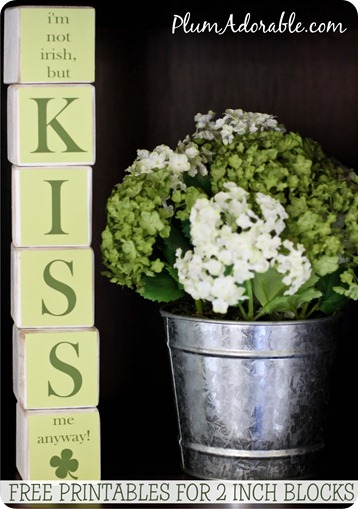 Free St. Patrick's Day DIY Blocks Printable - 24/7 Moms