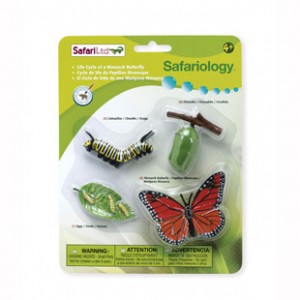 WIN - Safari Ltd's Safariology "My Bug Box" Kit - 24/7 Moms