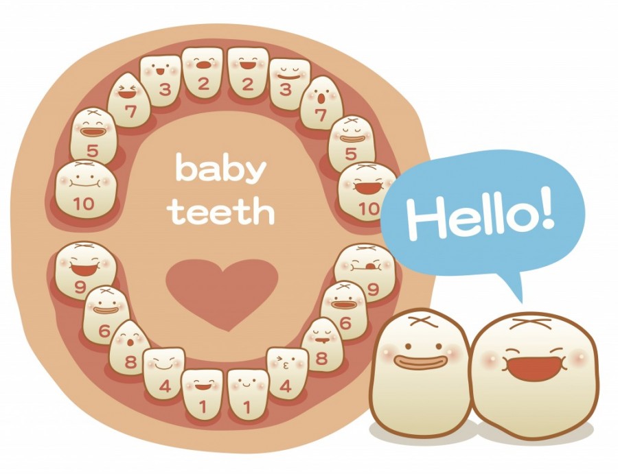 MOM Tip: Parent's Guide to Baby Teeth - 24/7 Moms