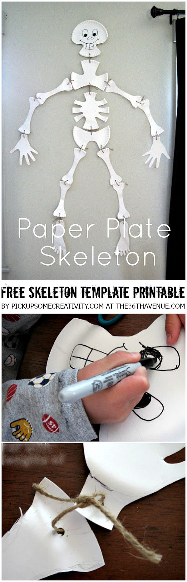 Free Skeleton Template Printable - 24/7 Moms