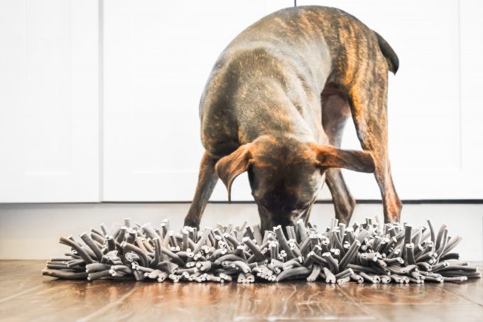 WIN - PAW5 Wooly Snuffle Mat @paw5us - 24/7 Moms