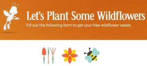 Get your FREEBIE Pack of Wildflower Seeds from Cheerios - 24/7 Moms