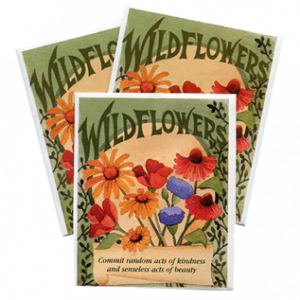 Get your FREEBIE Pack of Wildflower Seeds from Cheerios - 24/7 Moms