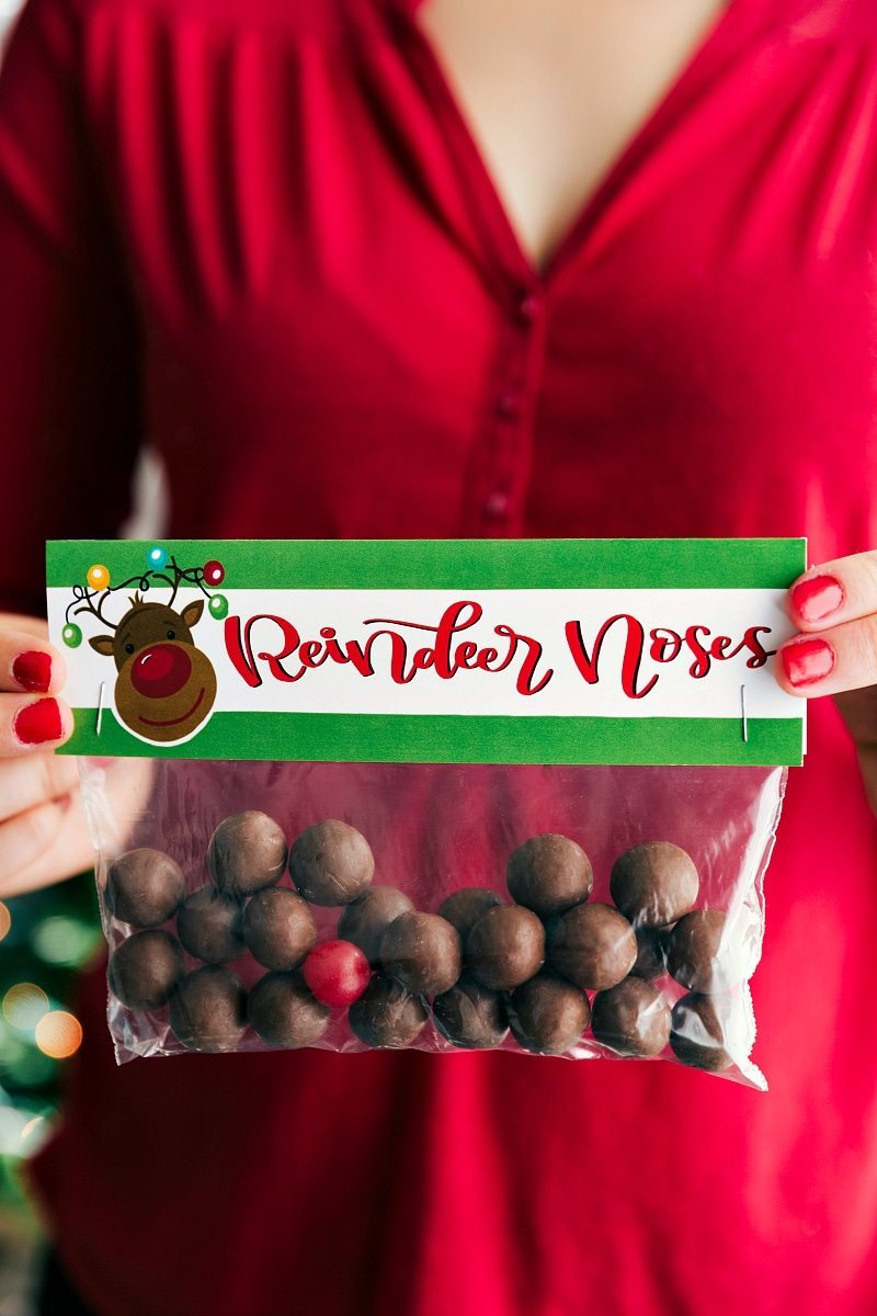 Free Reindeer Noses Printable - 24/7 Moms
