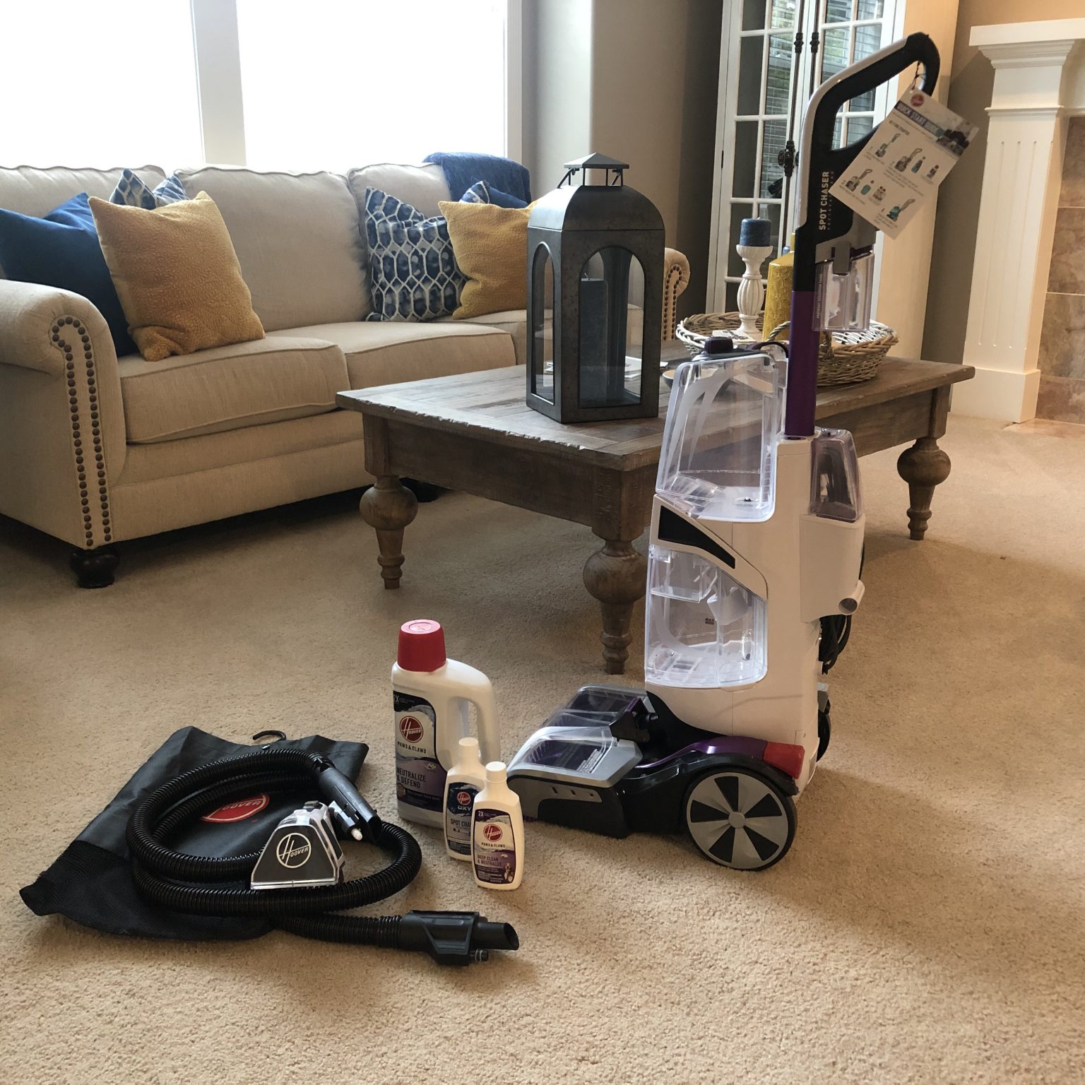 WIN - SmartWash Pet Carpet Cleaner - 24/7 Moms